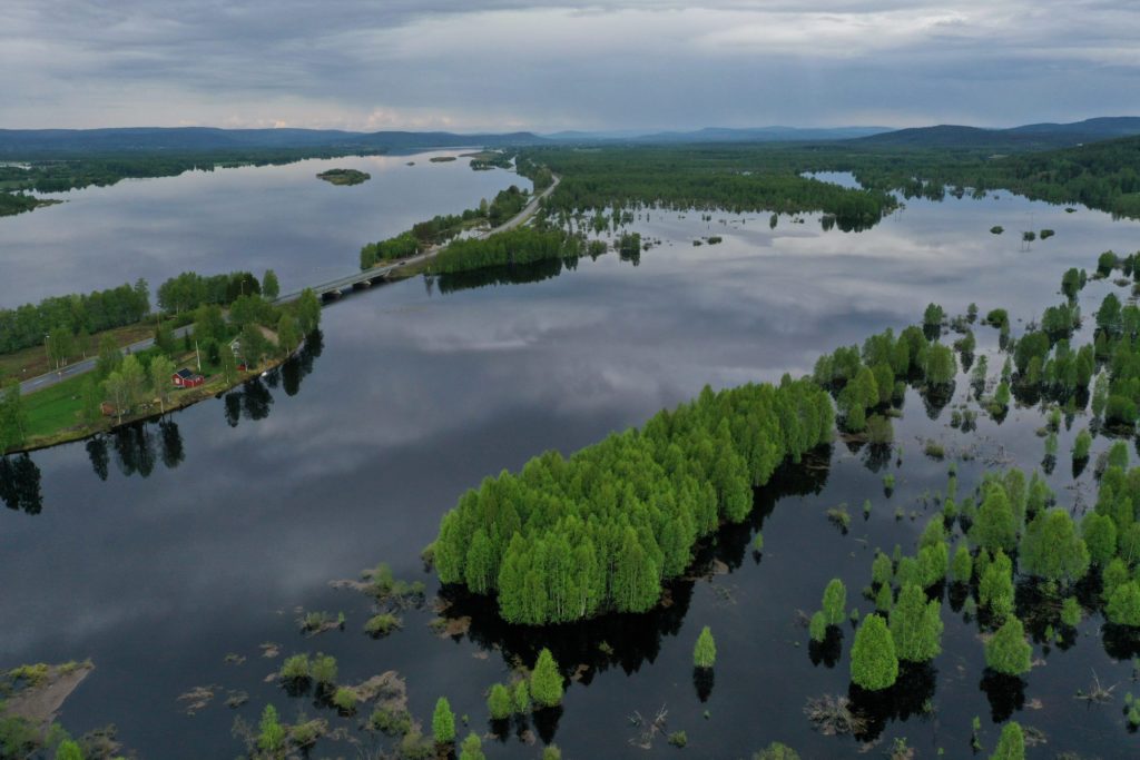 Padot estävät lohennousun Kainuuseen - Suomenmaa.fi