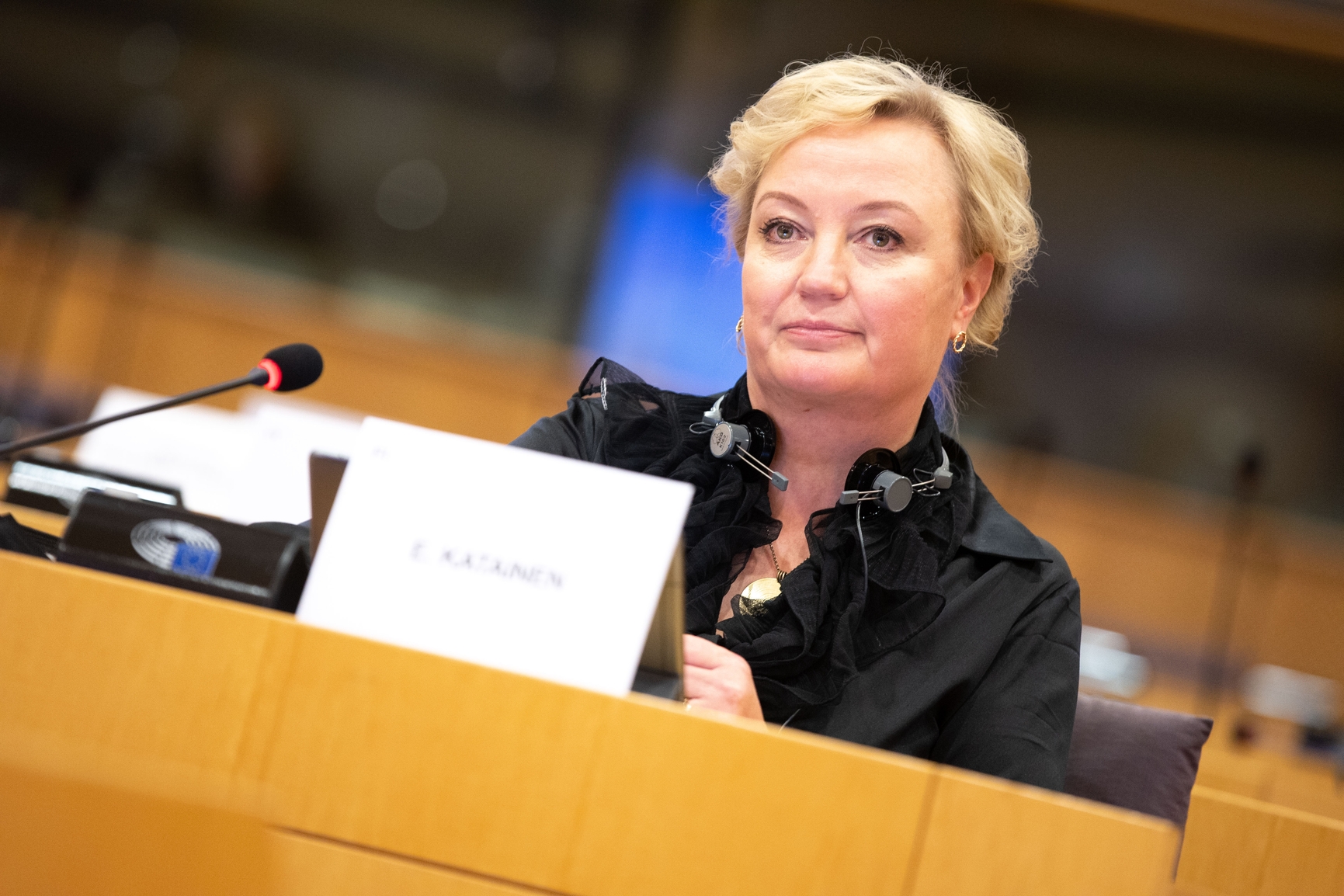 Elsi Katainen: Parlamentin kanta metsäenergiaan pettymys - Suomenmaa.fi