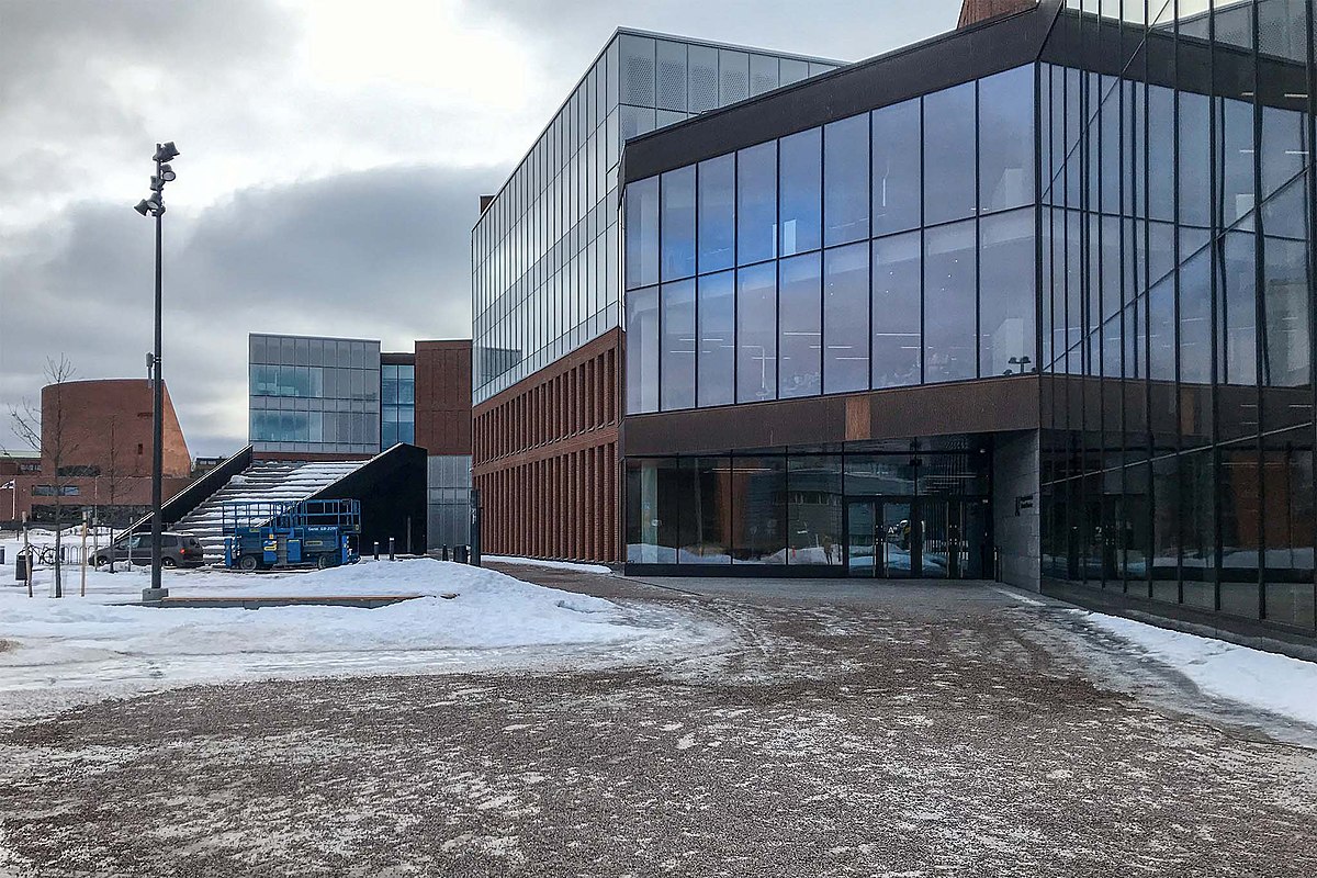 Suomalaisilta solmuratkaisu alalla, jolta Einstein aikoi vetää pohjan ...