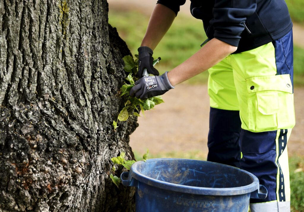Kesätyöpaikkoihin pyrkivät myös muut kuin nuoret ja opiskelijat ...