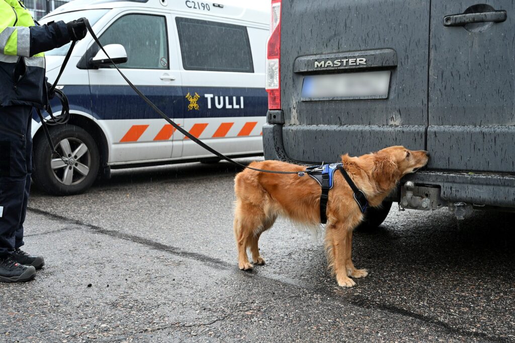 Ruokakoira haisteli esiin yli 400 kiloa kiellettyjä lihatuotteita ...